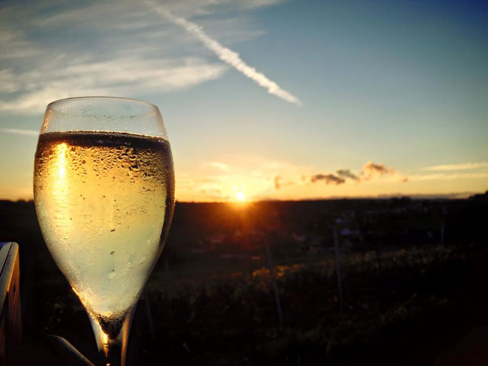 Venez nous rencontrer ! - Champagne Veuve Virey